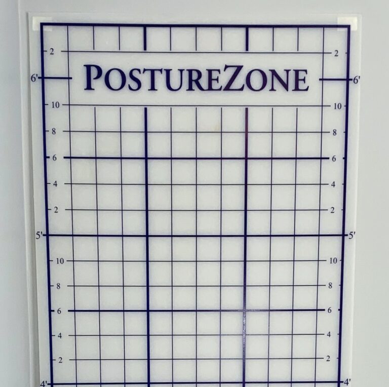 Posture Assessment Grid - Door Mount Grid