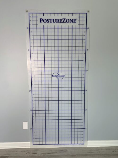 Posture Assessment Grid - Wall Mount (Metric) - BodyZone.com
