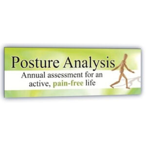 Posture Principles Posters - BodyZone.com