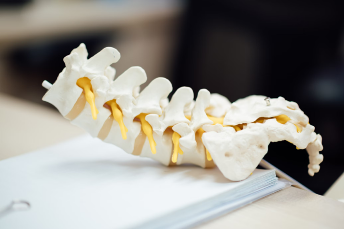 Balancing Body And Mind: The Sacro Occipital Technique's Approach To ...