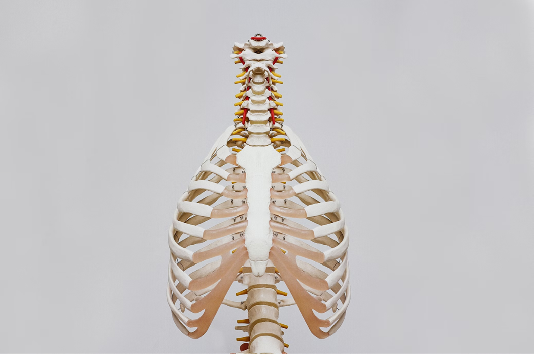 Balancing Body And Mind: The Sacro Occipital Technique's Approach To ...